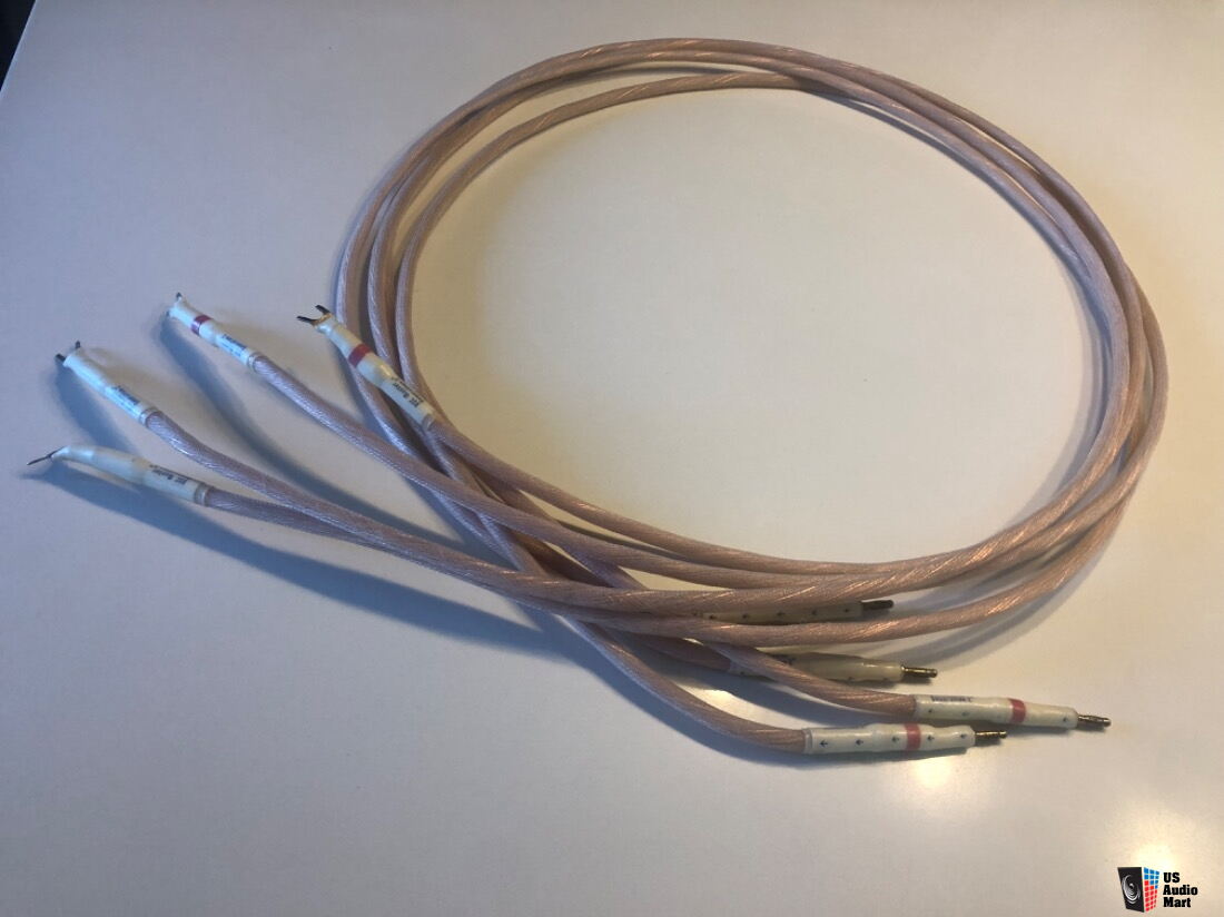 Tara Labs RSC Reference Gen 2 Speaker Cables Photo #4843132 - US Audio Mart