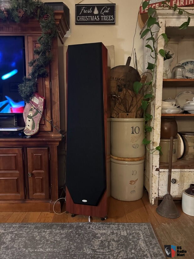 Legacy focus se in rosewood For Sale - UK Audio Mart