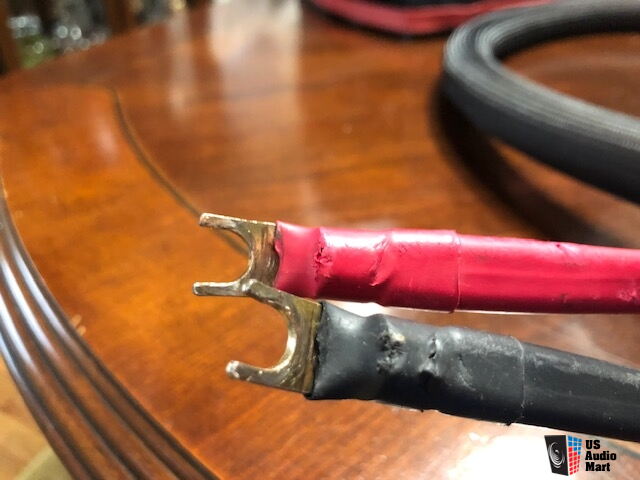 Purist Audio Design Venustas Tri-wire 81 inch pair