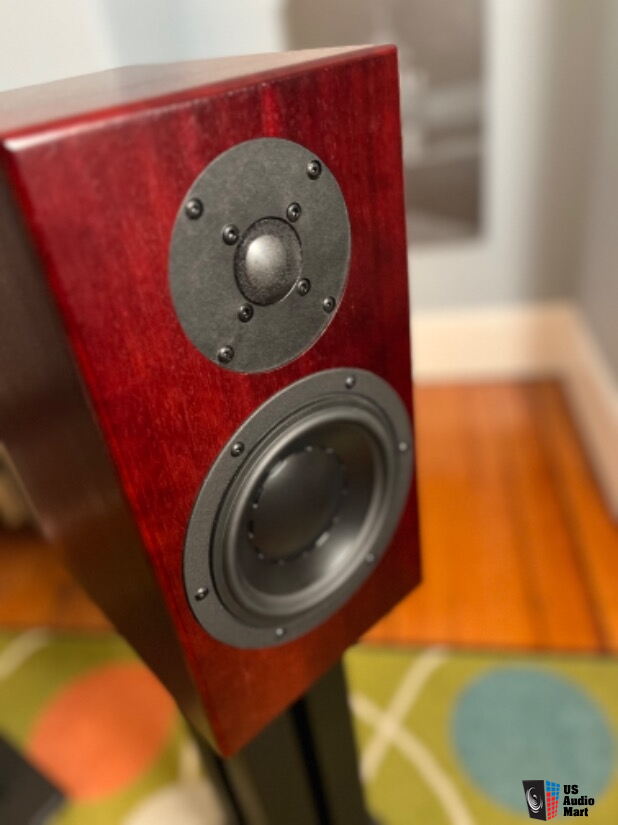 Totem Signature One Photo #4864364 - US Audio Mart