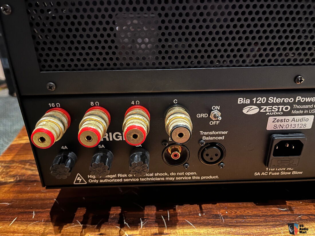 Zesto Audio Bia 120 Photo #4864869 - US Audio Mart