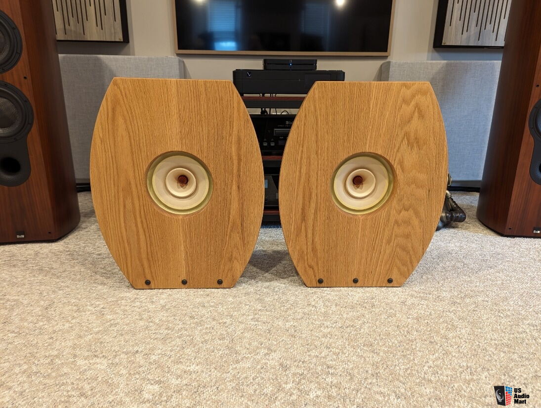 Lii Song Fast 8 with Caintuck Oak Open Baffles Photo #4872315 - US ...