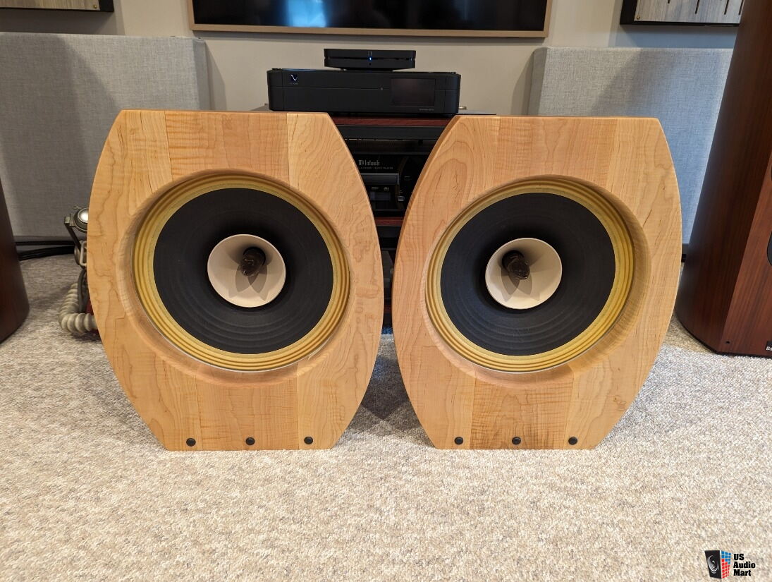 Lii Song Fast 8 with Caintuck Magnum Open Baffles Photo #4872341 - US ...