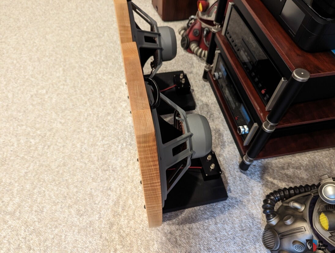 Lii Song Fast 15 with Caintuck Magnum Open Baffles Photo #4872344 - US ...