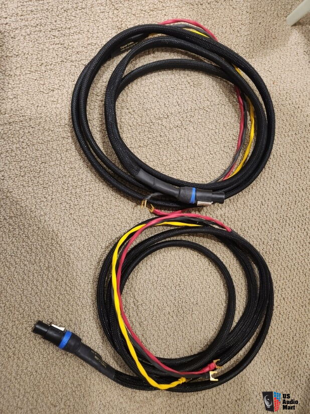 SignalCable REL Speakon Link 12ft, two runs Photo #4873959 - US Audio Mart