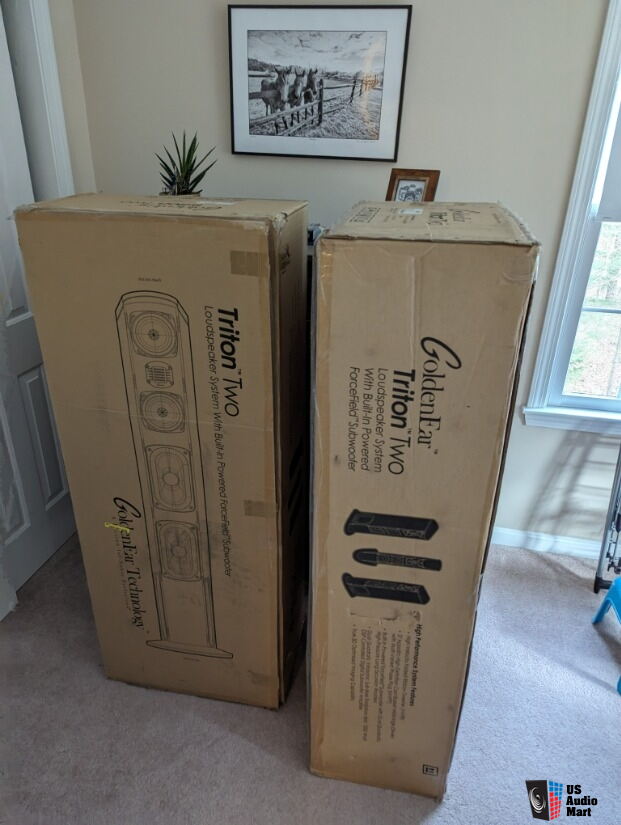 GoldenEar Triton 2 Triton Two speakers Photo #4881653 - US Audio Mart