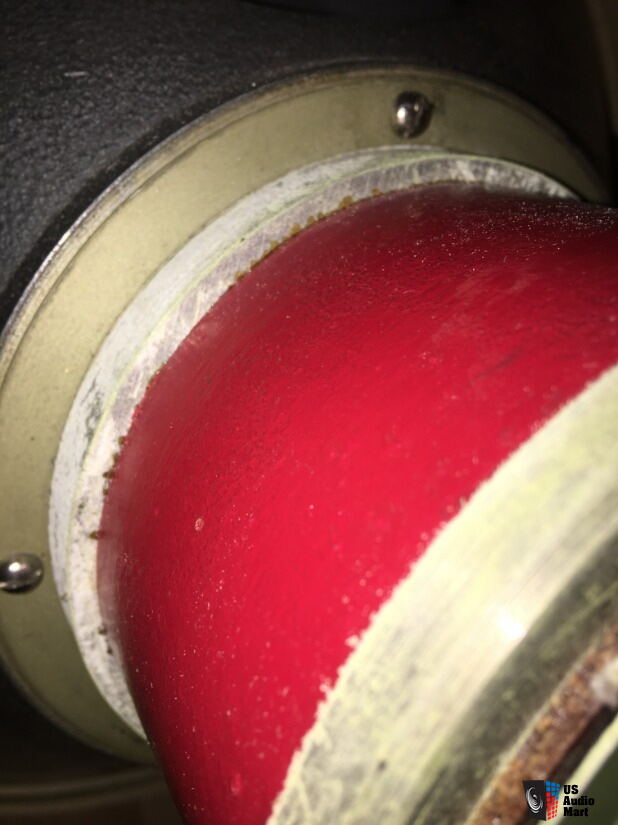12" rebuilt Tannoy Red Monitors in Custom Birch marine plywood Cabinets ...
