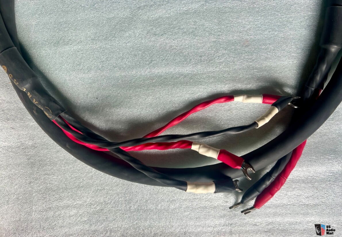 Cardas Golden Reference 2.5m Bi-Wire Photo #4897940 - US Audio Mart