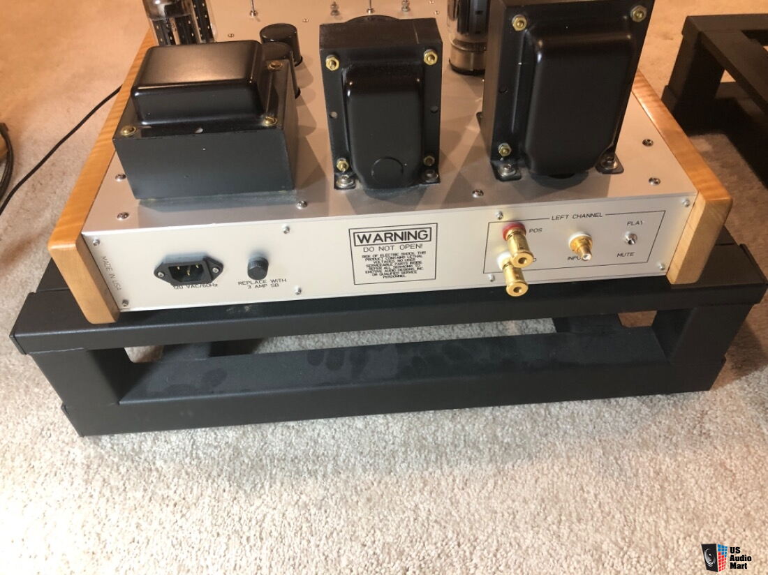 Emotive Audio Custom Vita power amps Photo #4917181 - US Audio Mart