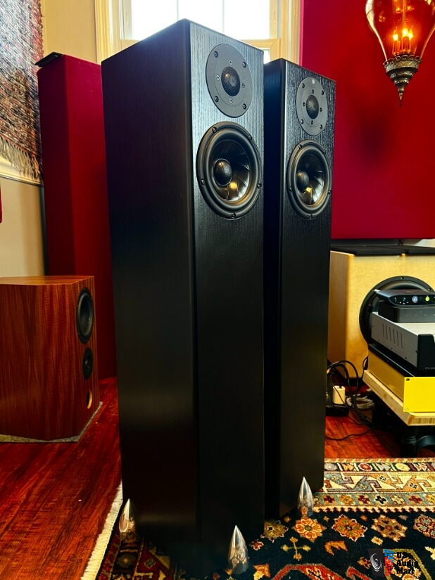 Totem Acoustic Hawk speakers