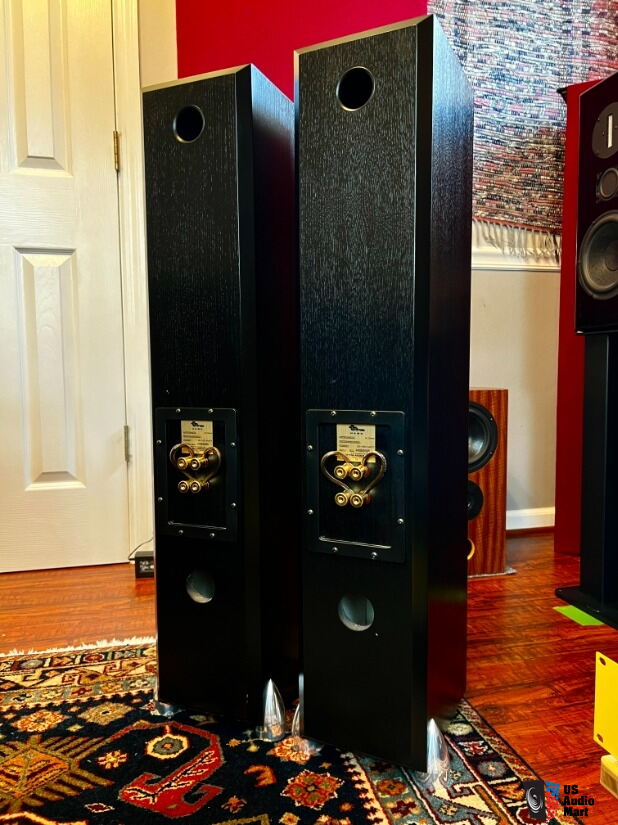 Totem Acoustic Hawk speakers Photo #4922635 - US Audio Mart