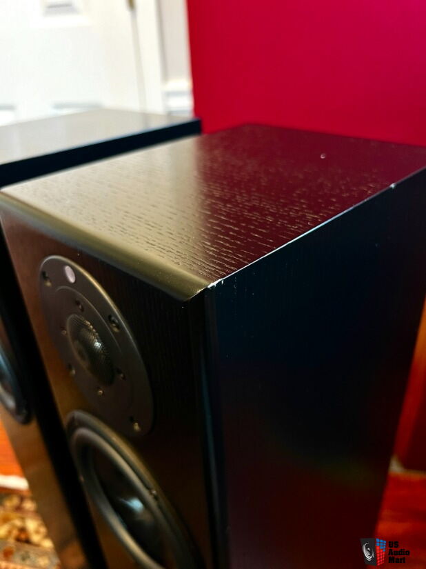 Totem Acoustic Hawk speakers