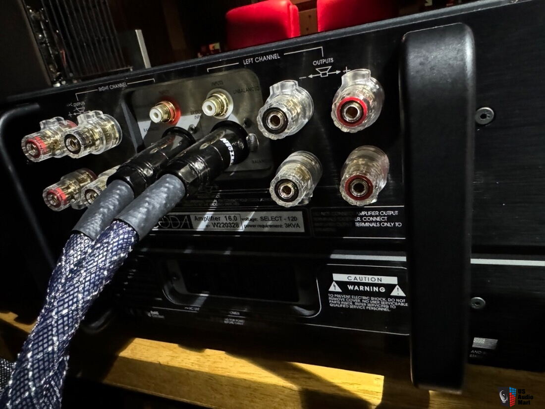 CODA No. 16 Amplifier (100w Class A) Photo #4927980 - US Audio Mart