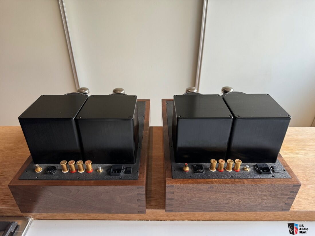 Decware Torii Mono blocks 2.5 years old Photo #4929994 - US Audio Mart
