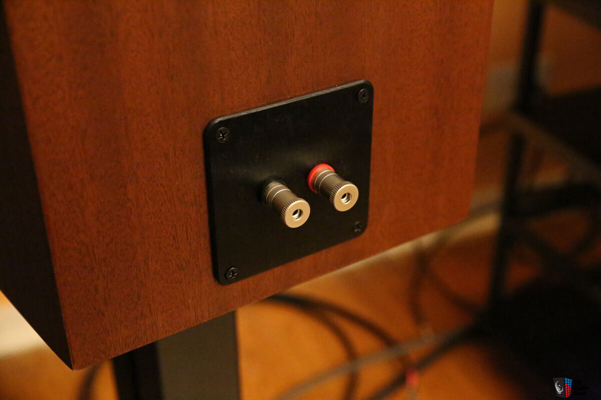 Tyler Acoustics U2 Coax Monitor Pair - Ribbon Mahogany - Made in USA ...