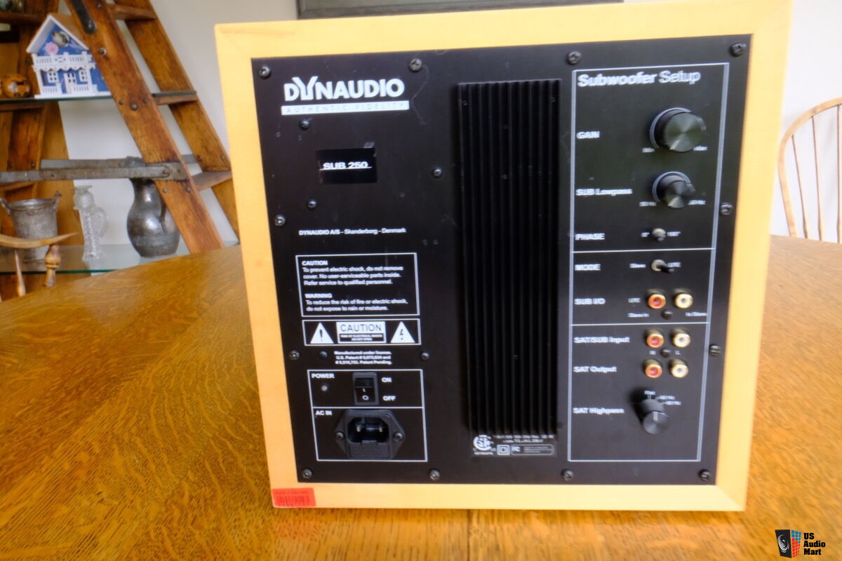 Dynaudio 250 Sub Maple $325 Photo #4936265 - US Audio Mart