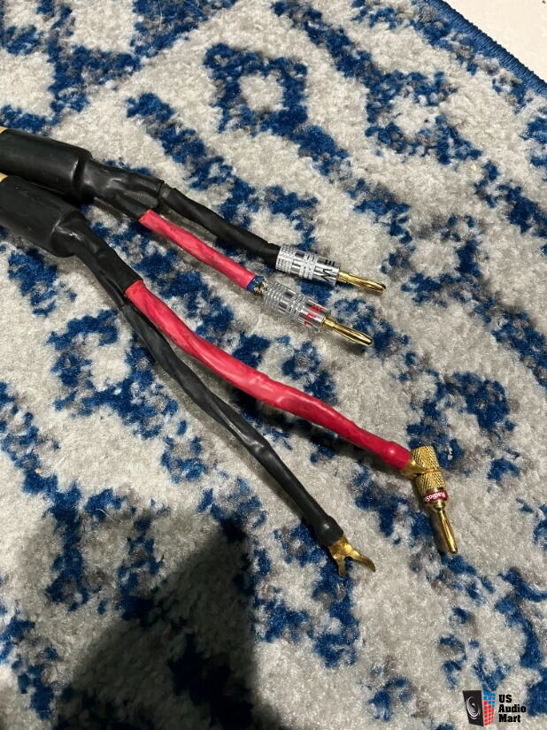 MIT MH-750 MUSIC HOSE Photo #4949135 - US Audio Mart