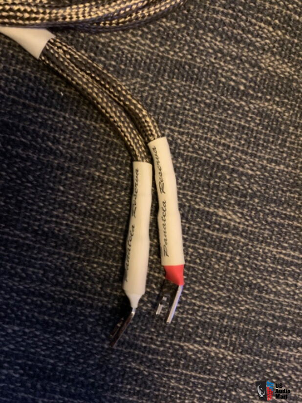 Sablon 6' bi-wire Speaker Cables Photo #4956544 - Canuck Audio Mart