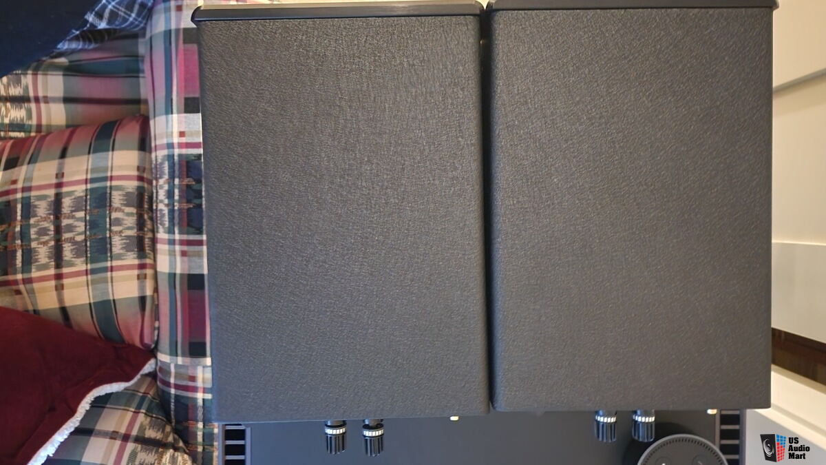 Bel Canto e.ONE Ref 600M/ Ref 601M Photo #4960809 - UK Audio Mart