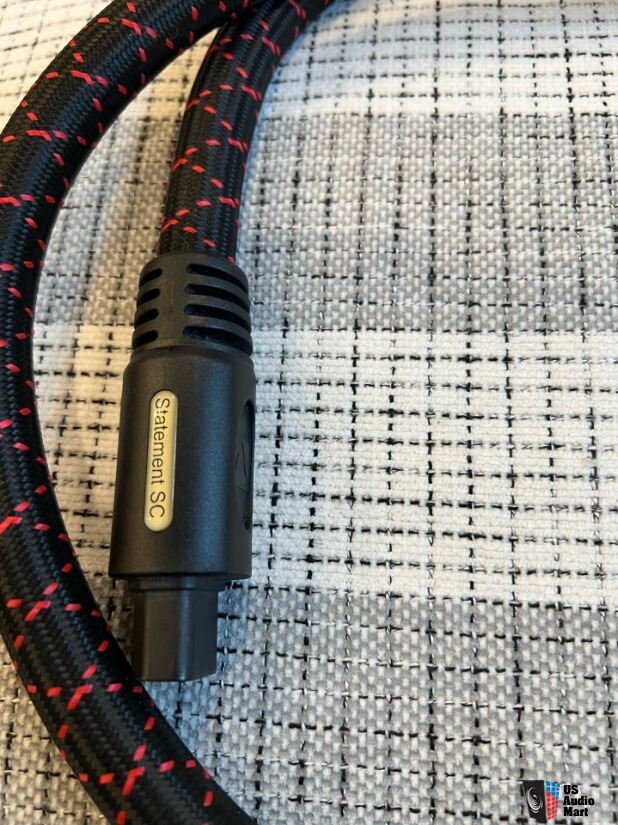 PS AUDIO Statement SC power cord Photo #4961256 - US Audio Mart