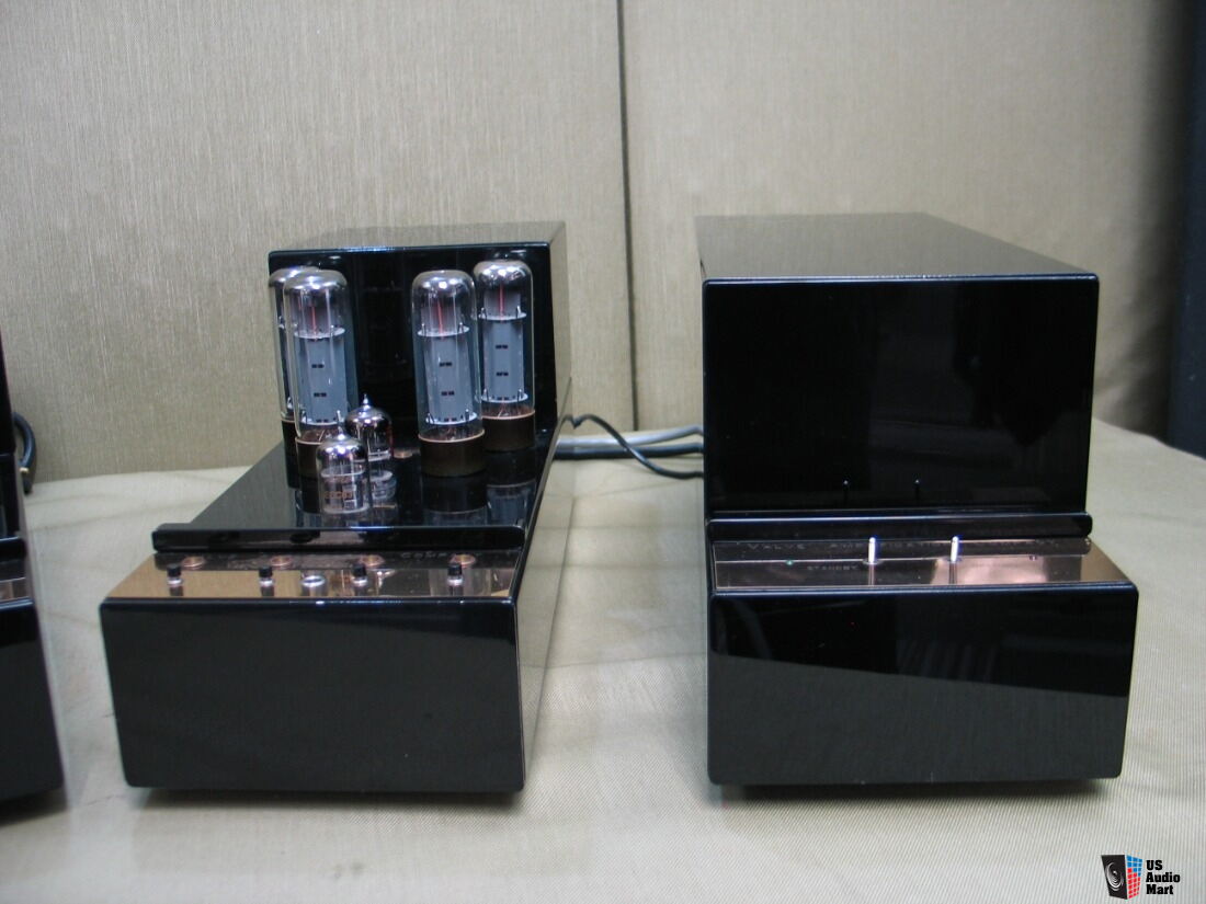 Valve Amplification Company (VAC) PA90 Mono Blocks ( Original Boxes ...