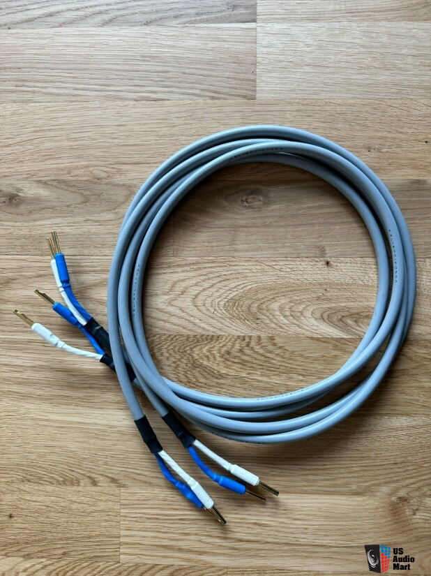 Audio Note Kondo KSL SPC Speaker Cable Photo #4969004 - US Audio Mart