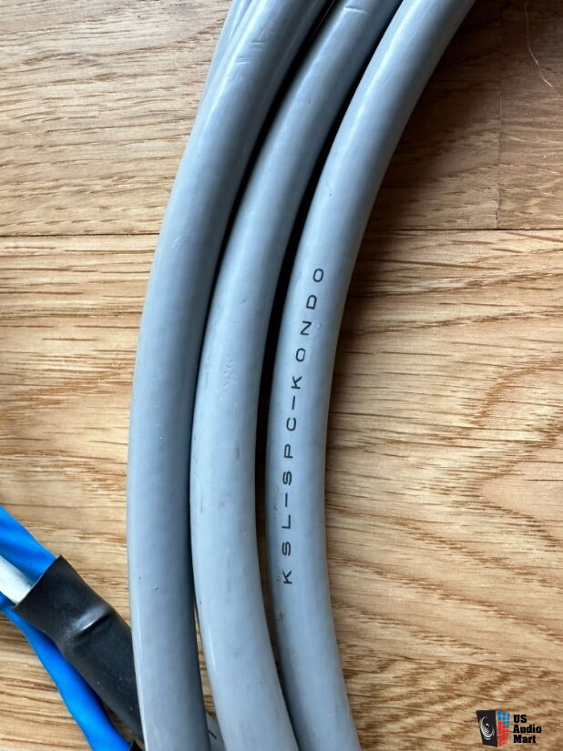 Audio Note Kondo KSL SPC Speaker Cable Photo #4969004 - US Audio Mart