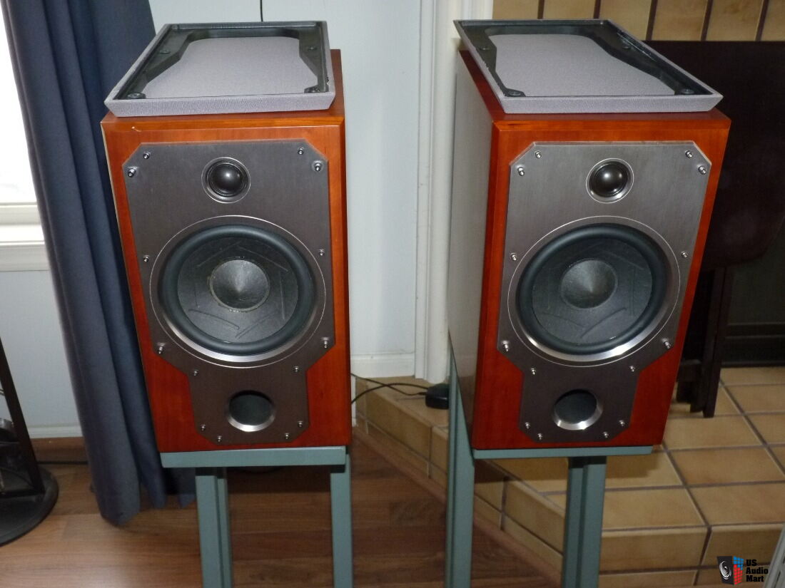 Opera Consonance Eric 1 speakers w/ oem stands Photo #4967418 - US ...