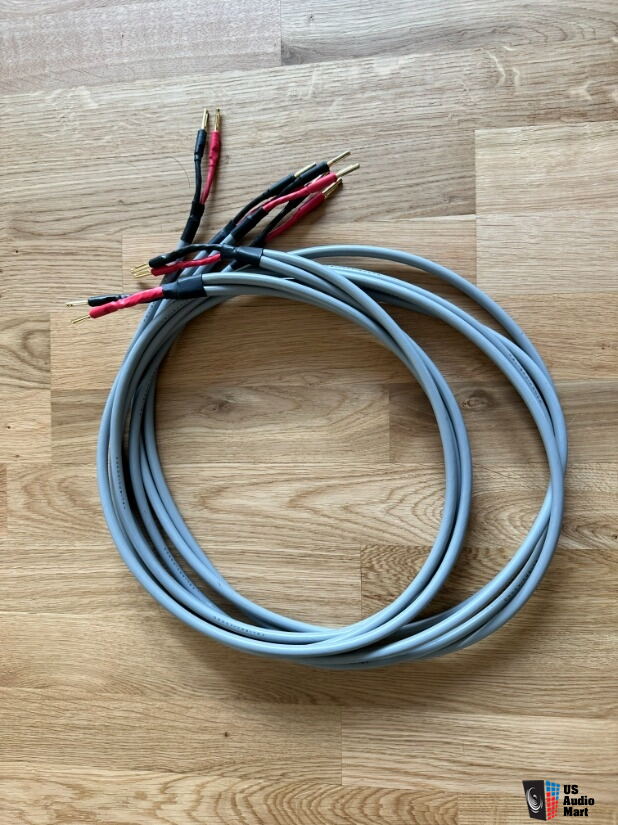 Audio Note Kondo KSL SPC Speaker Cable Photo #4969004 - US Audio Mart