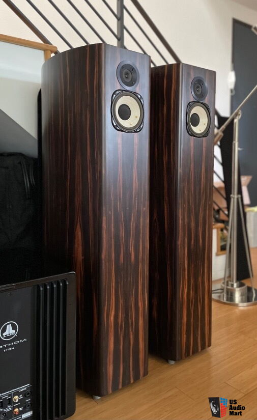 Horning Hybrid Eufrodite Ellipse PM 65 Photo #4969421 - US Audio Mart
