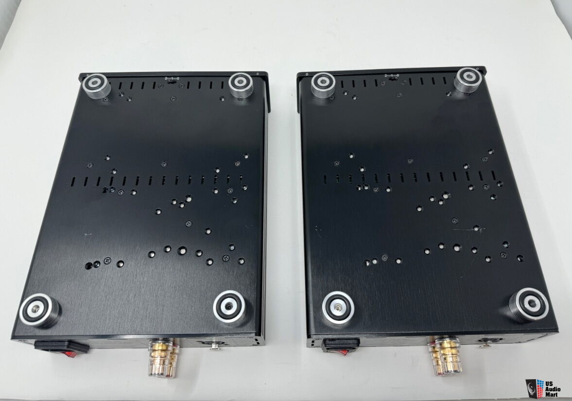 Hypex Class D Power Amp Monoblocks Photo #4972904 - US Audio Mart
