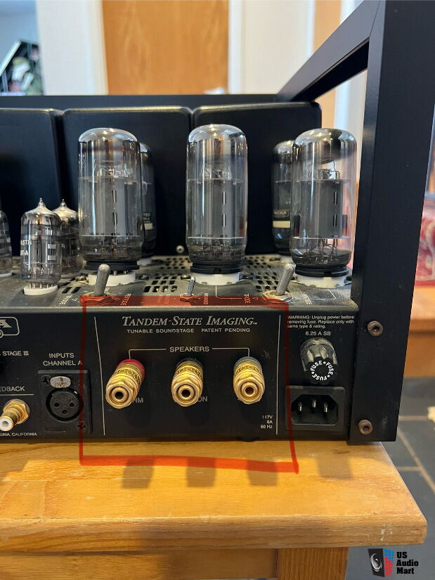 Mesa Baron Dual Chassis Tube Power Amplifier Photo #4981627 - UK Audio Mart