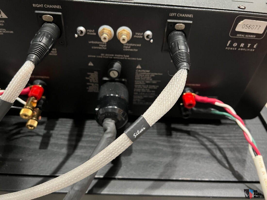 Forte Model 6 Stereo Amplifier ( RCA / XLR input version) Photo ...