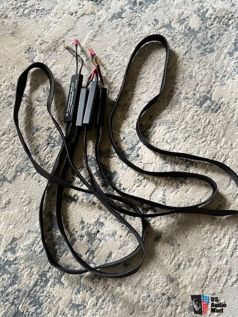 Townshend DCT Isolda speaker cable 2m Photo #4990709 - US Audio Mart