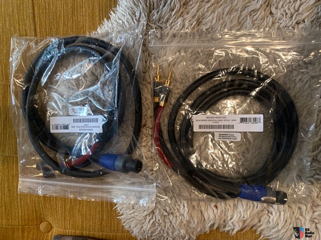 Benchmark Speaker Cable - 6 foot NL2 SpeakOn to Banana For Sale - US ...