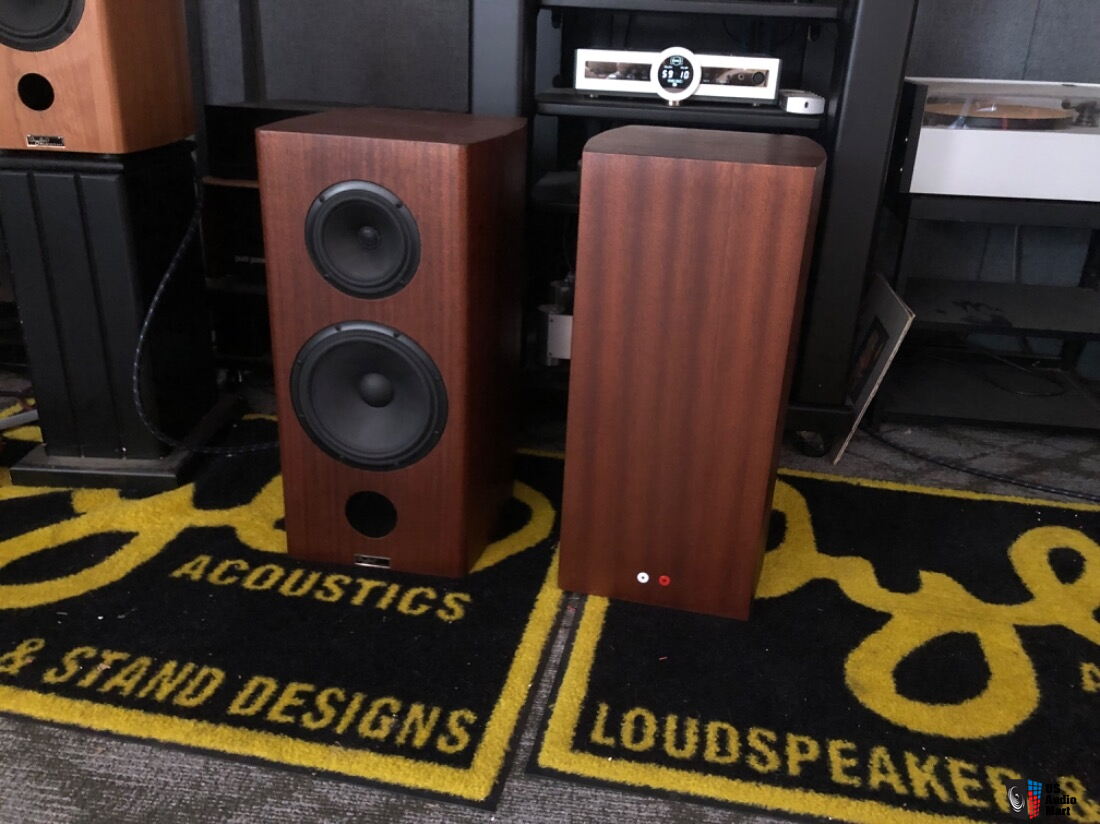 Tyler Acoustics U2 demos ribbon mahogany Photo #5015912 - US Audio Mart