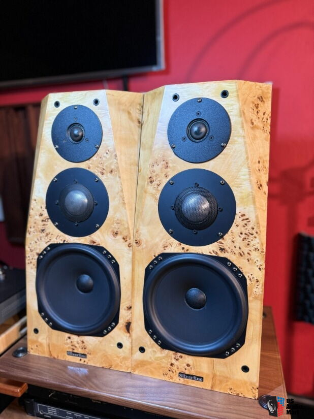 Silverline Audio SR20 (special edition) 3-Way Monitor One of a kind ...