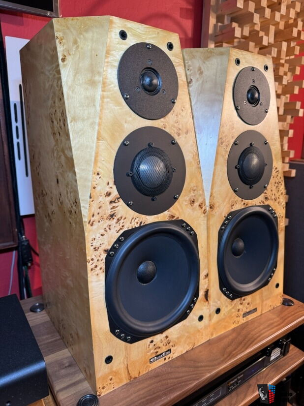 Silverline Audio SR20 (special edition) 3-Way Monitor One of a kind ...