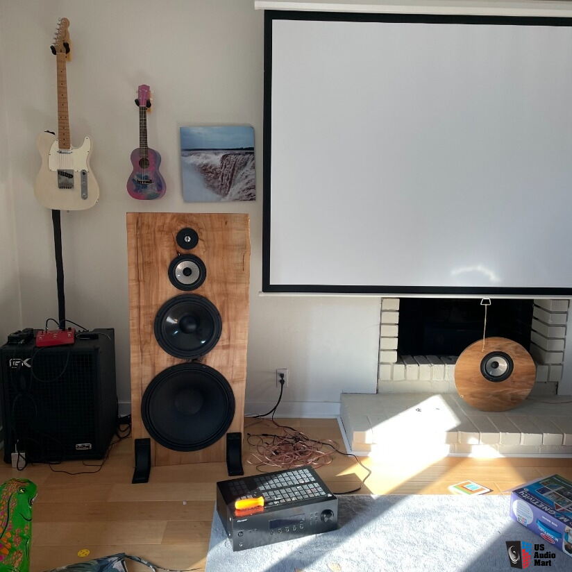 Stunning Live Edge Open Baffle Loudspeakers (pair) (Demo/Prototype unit ...