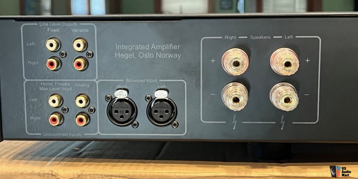 Hegel H160 including Synergistic Purple Fuse Photo #5065142 - US Audio Mart