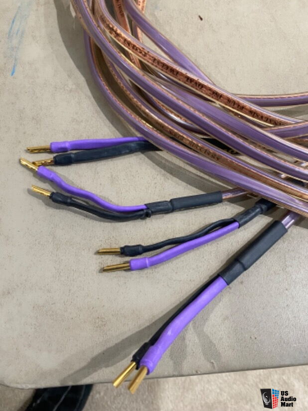 Analysis Plus Oval 12 External/Shotgun Bi-wire / free shipping Photo ...