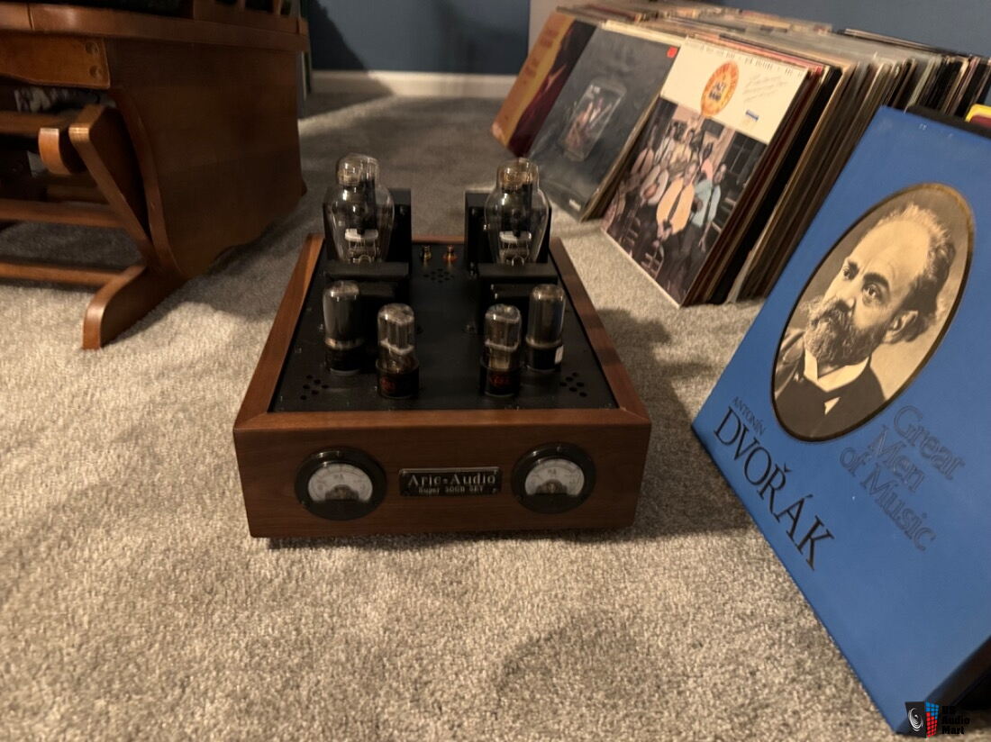 Aric Audio Super 300B with upgrades Photo #5084737 - US Audio Mart