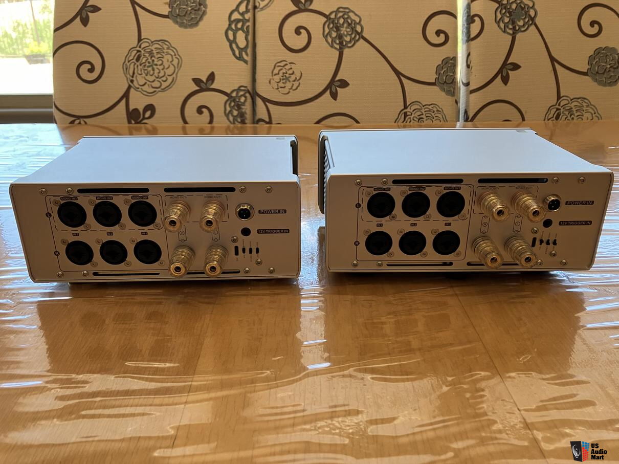 x2 Topping LA90D Discrete Amplifiers Photo #5085724 - US Audio Mart