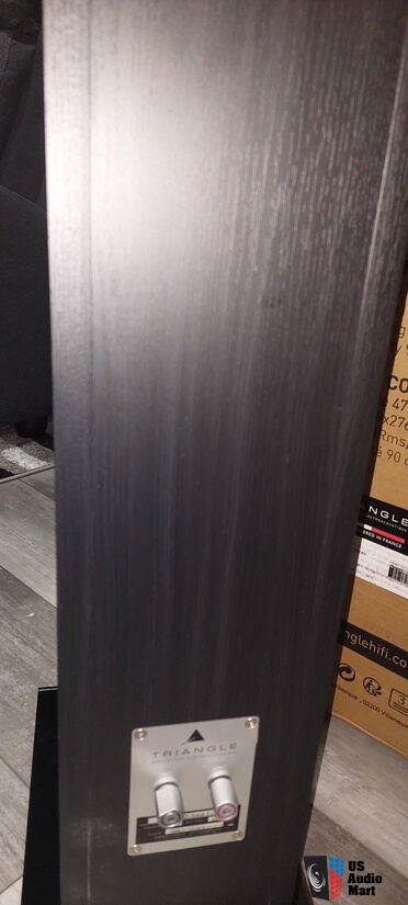Triangle EZ 5 speaker surround Photo #5086431 - US Audio Mart