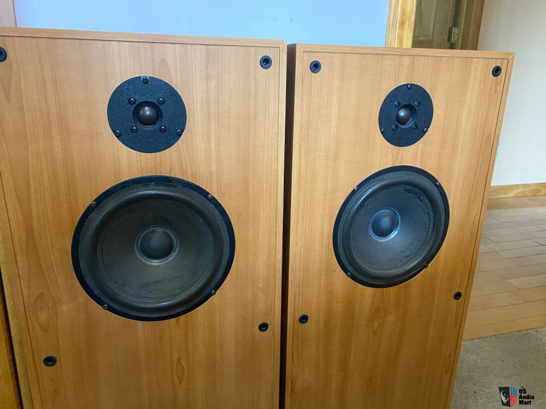 Audio Note UK AN-E/L Speakers