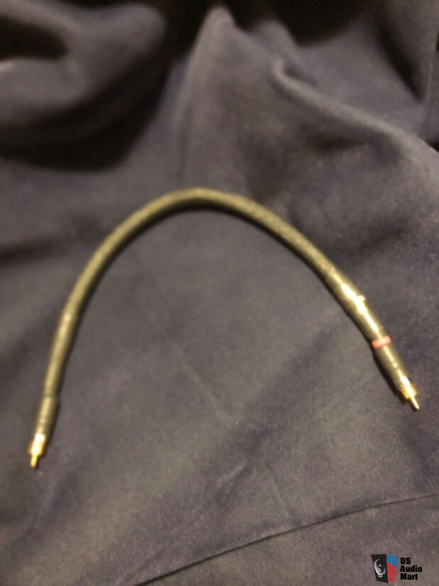 NBS MONITOR 1 Gold Label Digital RCA .5M For Sale - US Audio Mart