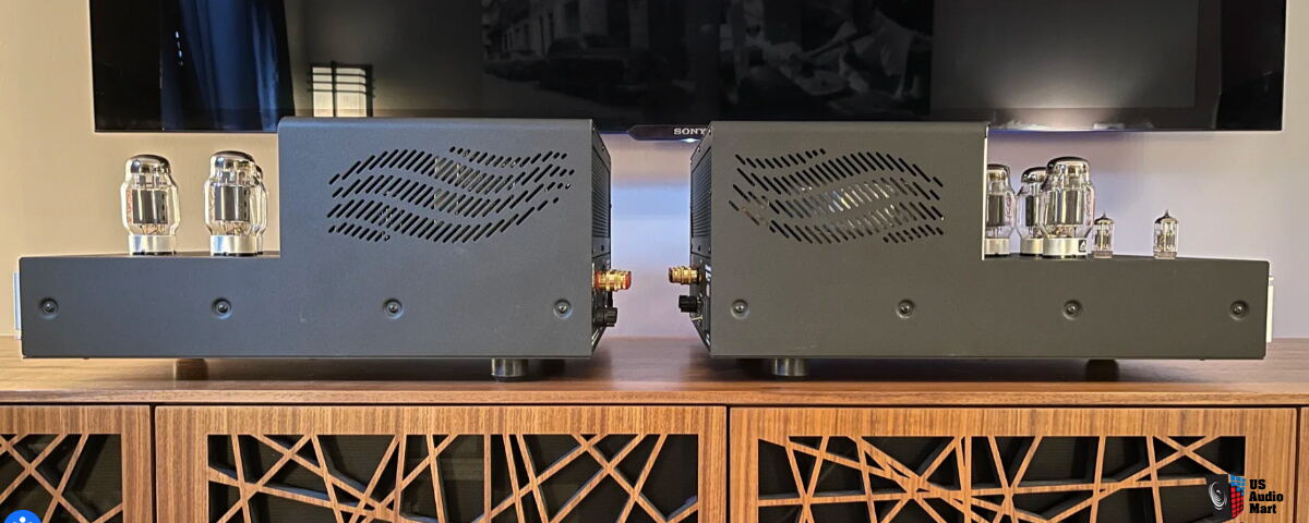 Zesto Eros 300 Monoblock's 150 watts of KT88 tube goodness - Recently ...