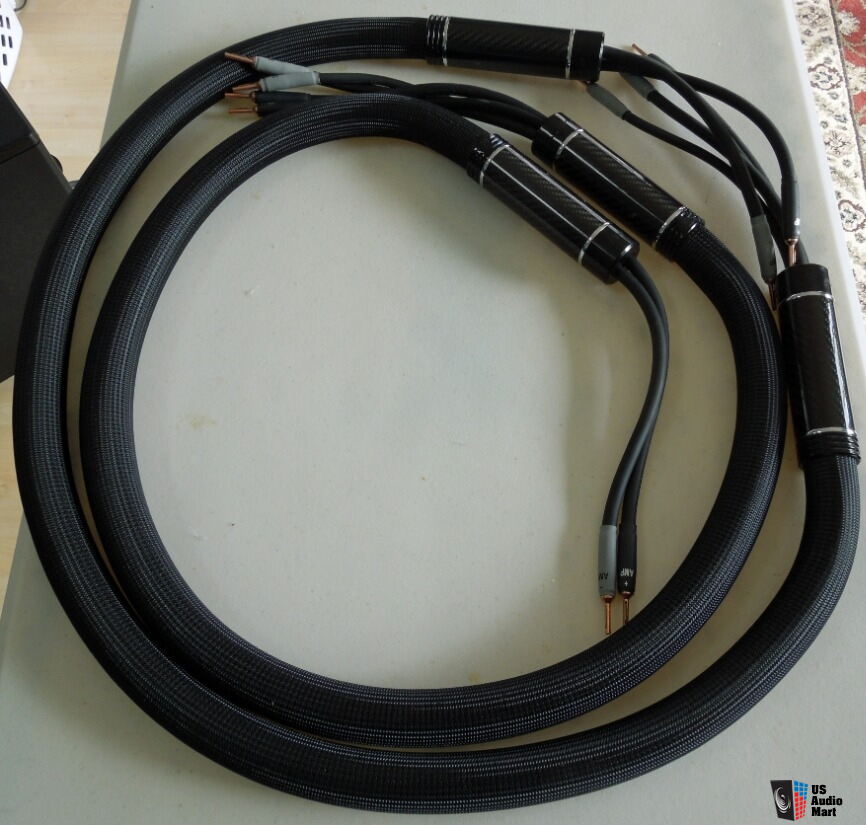 Shunyata Research Alpha V2 Bi-Wire Speaker Cables, Banana to Banana, 2 ...