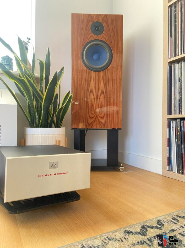 Audio Note UK AN-E SPx HE SE Signature, High Gloss Rosewood (~60% off ...