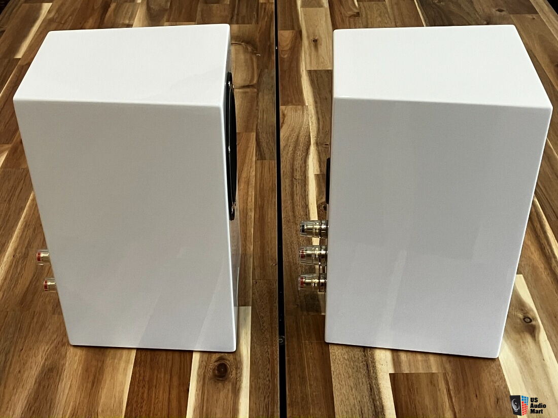 Tannoy Revolution XT Mini - Gloss White Photo #5116670 - Canuck Audio Mart
